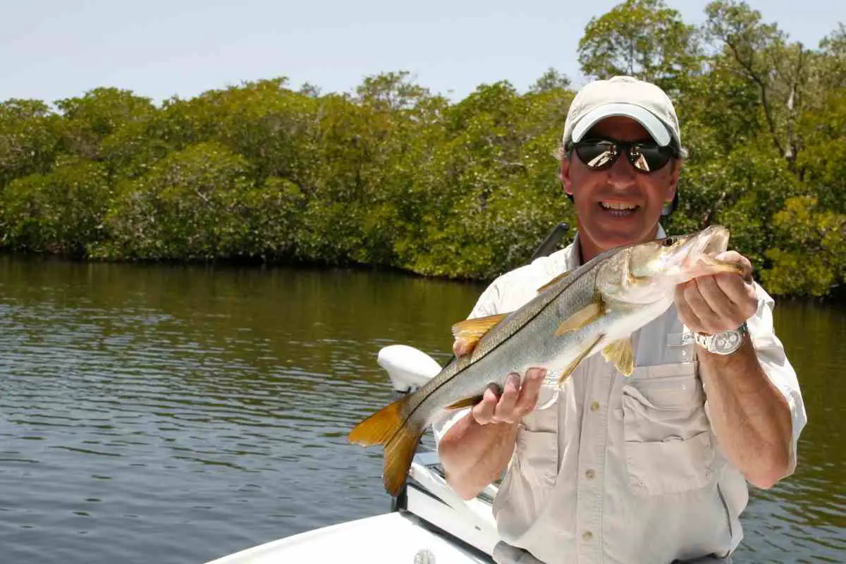 Complete Guide to Baits and Lures for Snook Fishing - FishFinder HQ