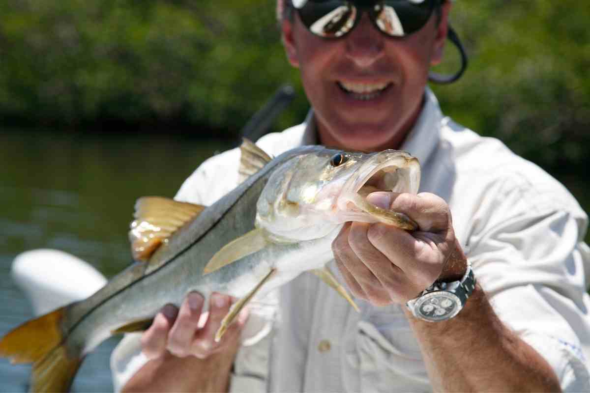 Complete Guide to Baits and Lures for Snook Fishing - FishFinder HQ