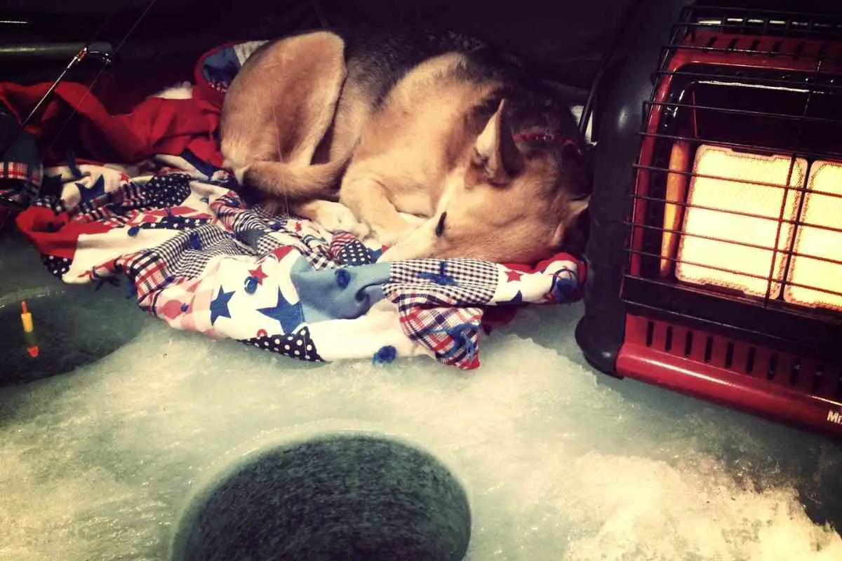 5 Best Ice Fishing Heaters (Safe and Affordable Heaters) - FishFinder HQ